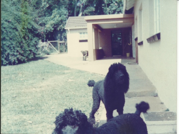 THE ESCAPE ARTISTS – Colleen Bennett