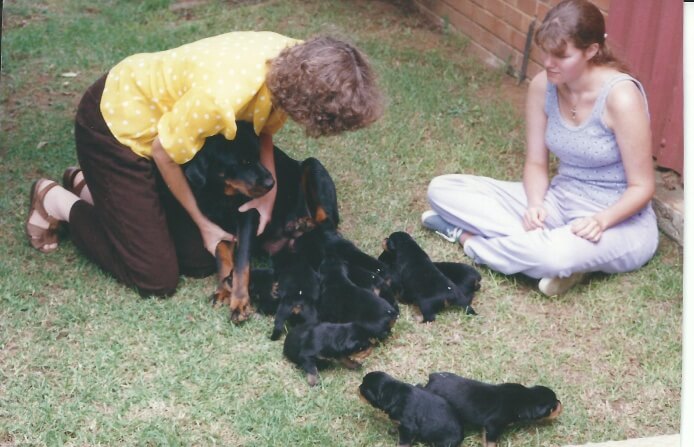 PICK-A-PUP – Colleen Bennett