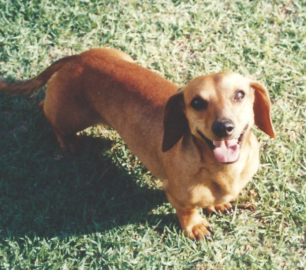 FINALE – Colleen Bennett