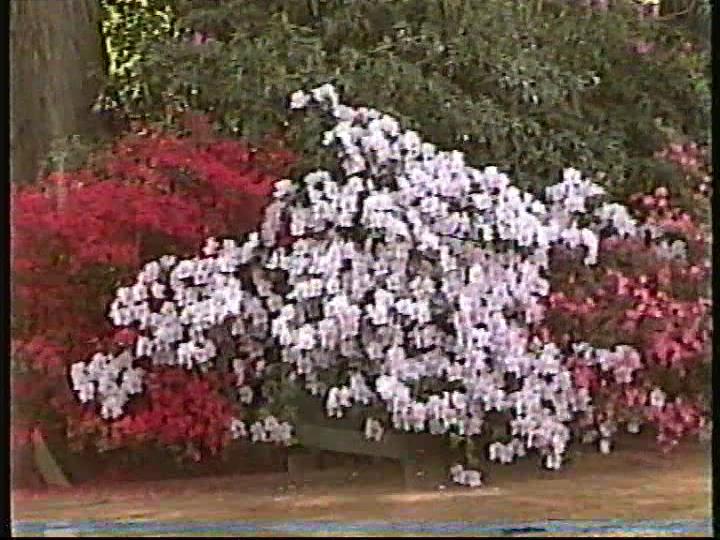 THE END OF AN ERA – Colleen Bennett